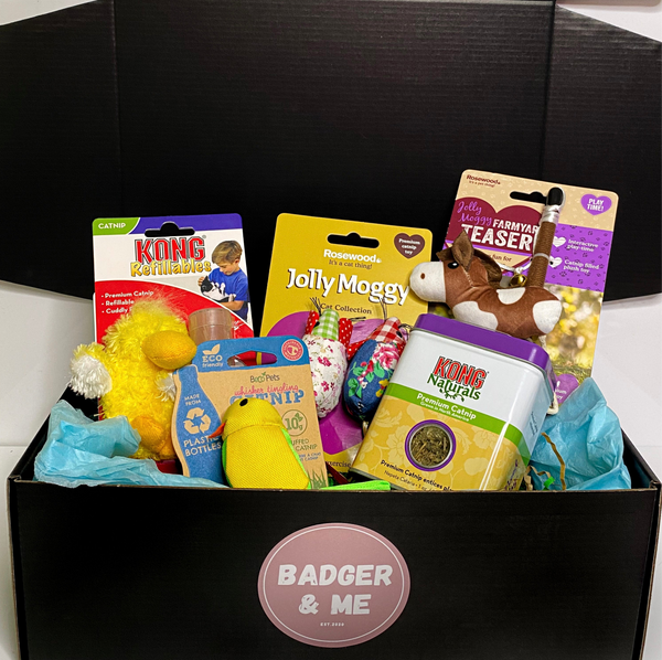 Duckling & Friends – Badger and Me