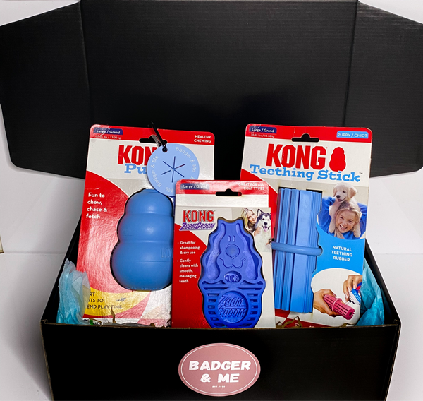 Puppy Box - Blue (Large) - Dog Gift Box – Badger and Me