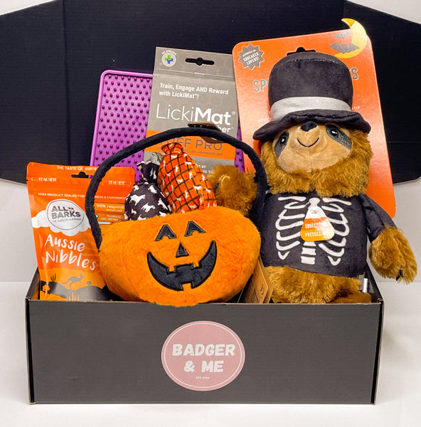 Pumpkin Spice - Halloween Dog Gift Box – Badger and Me