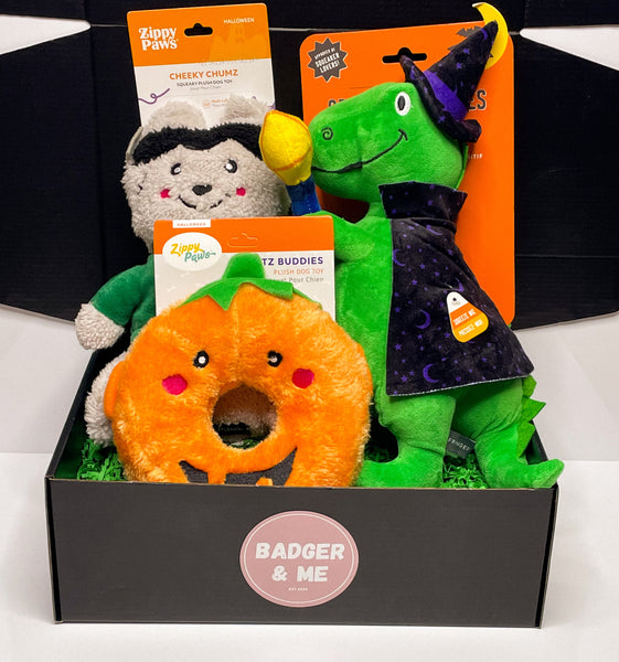 Full Moon - Halloween Dog Gift Box – Badger and Me
